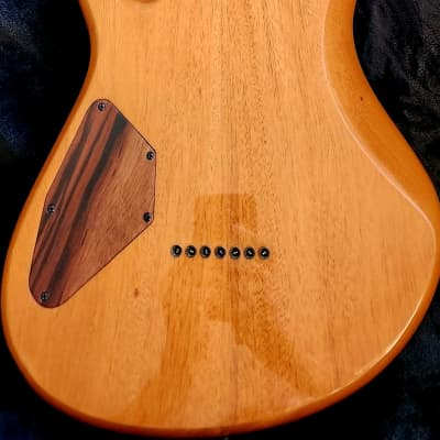 SJ Custom Guitars 7 string 2024 - High Gloss | Reverb