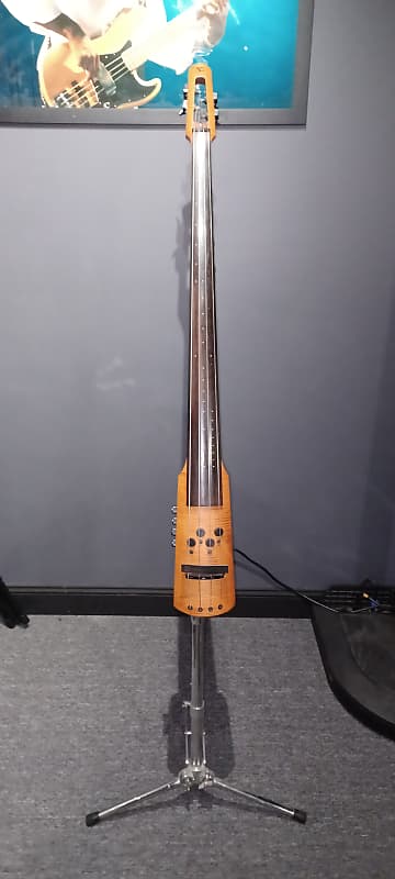 NS CR4m Electric Upright Bass EUB - Amber w/ Gig bag and | Reverb