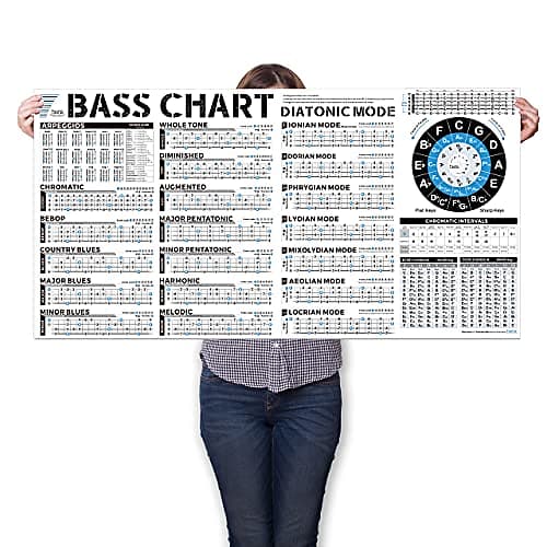 Bass Guitar Scales Chart Poster of Pentatonic Scales | Blues | Reverb