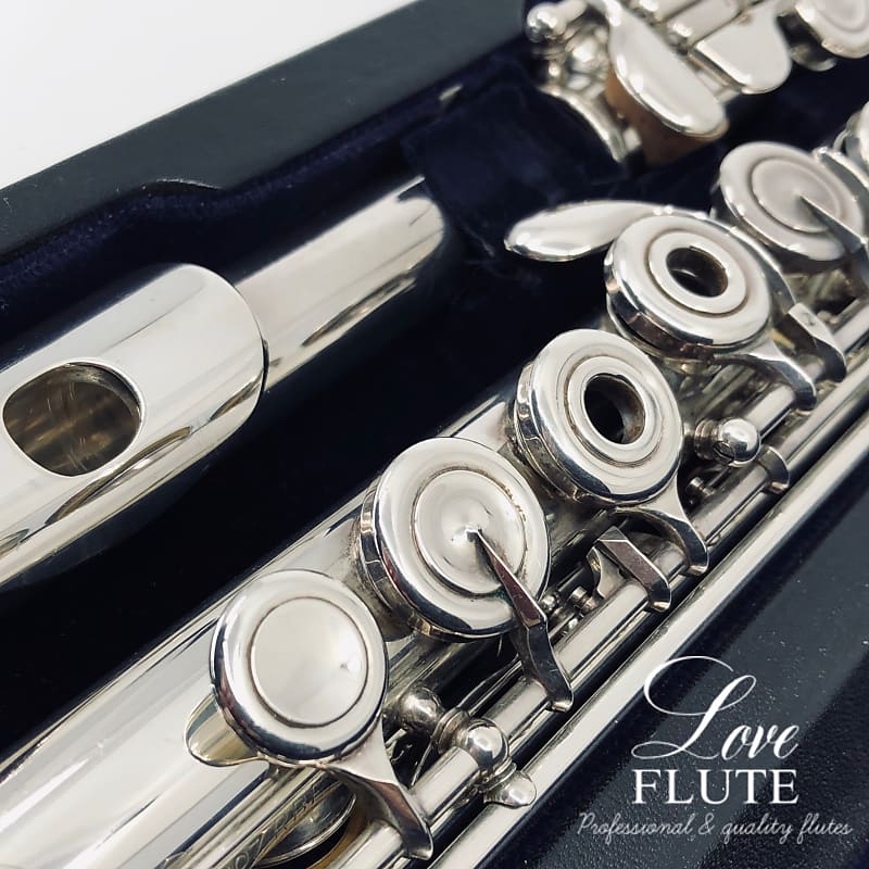 Altus 1207 Open-Hole Sterling Silver Professional Flute with | Reverb