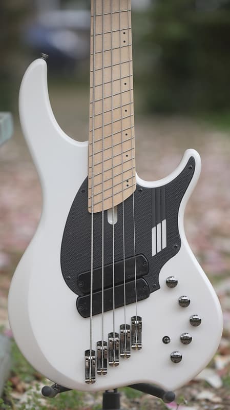 Dingwall NG2 Adam "Nolly" Getgood Signature 5 String - Ducati | Reverb