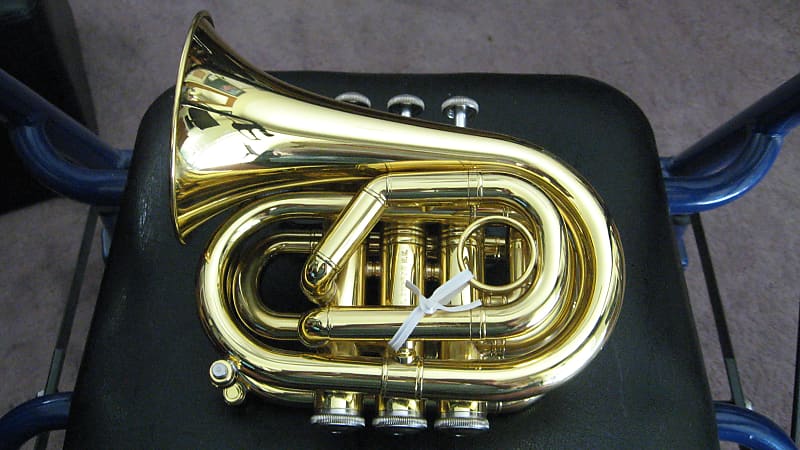 CAROL BRASS Mini Trumpet 2024 #2 - LACQUER | Reverb