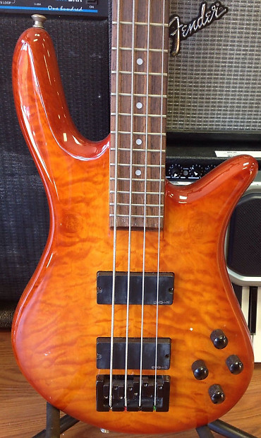 spector NS-2000/4 amber quilt maple | Reverb