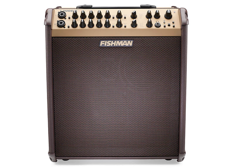Fishman Loudbox Performer | Reverb