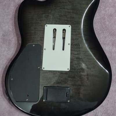 Fernandes Native Elite Sustainer Electric Guitar | Reverb