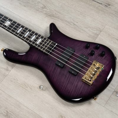 Spector Euro 5 LT, Violet Fade Gloss w/ Ebony | Reverb