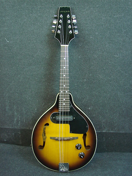 Aria AM-200EBS Acoustic/Electric Mandolin W/Case | Reverb