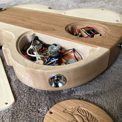 Cryptical Envelopment Carved 2024 Woodruff Custom - DiMarzio, | Reverb