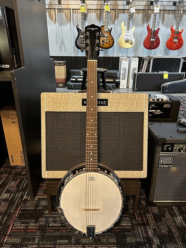 used Martin Smith 6 string banjo w/bag | Reverb