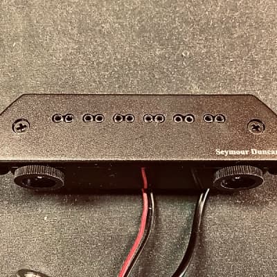 Seymour Duncan Mag Mic | Reverb