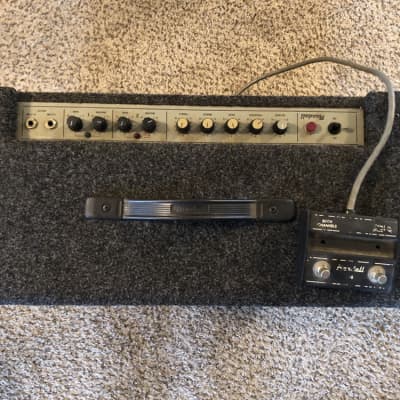 Randall RG100ES Combo | Reverb