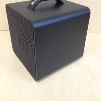 Belcat 40Watt Rechargeable Acoustic | Reverb Australia