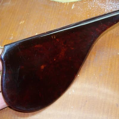 Gibson A style celluloid tortoise mandolin pickguard parts | Reverb