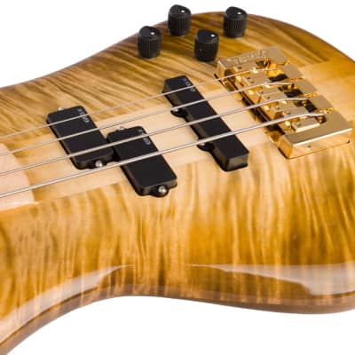 Spector USA Custom NS-2 Bass Guitar - Cinnamon Glow - | Reverb