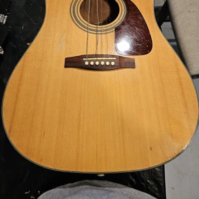 Fender DG-11 | Reverb