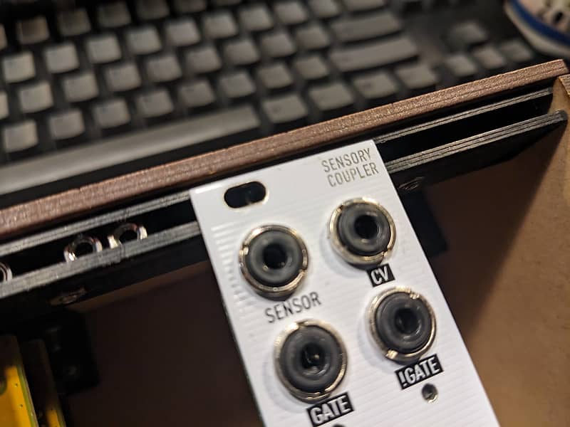 Bleep Labs Sensory Coupler (weird modulation source) | Reverb