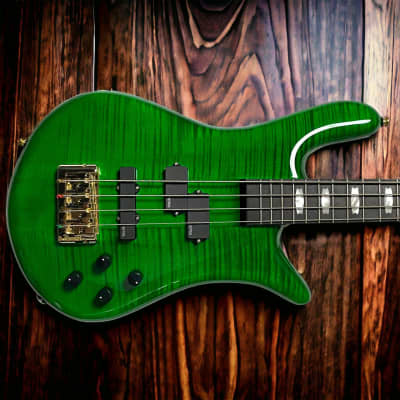 Spector Euro 4LX Doug Wimbish Sign. Amber w/ Rosewood *1.5 | Reverb