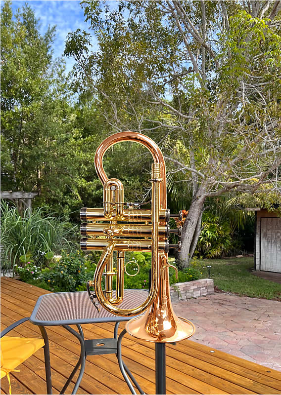 Soprano Cornet Eb. Geneva Cardinal Professional | Reverb