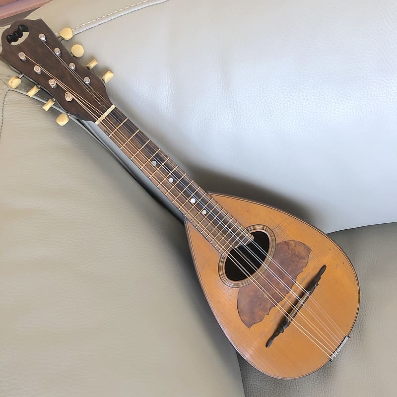 Ditson Empire Bowl Back mandolin - Early 1900s - Brazilian RW | Reverb