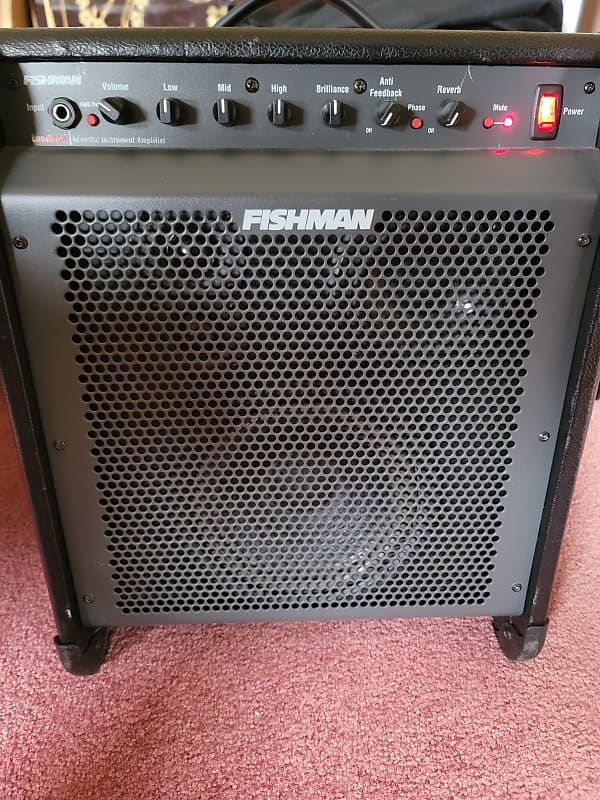 Fishman Loudbox PRO-LBX-001 2005 | Reverb