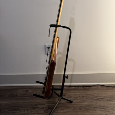 Camazon Explorer 2022 - Poplar Burl Headless 5 String Bass | Reverb