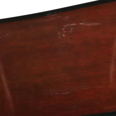 Vintage Tokai Gakki Japan DM12-5 12-string Acoustic Guitar | Reverb