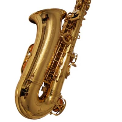 The Growling Sax TGS Avant-Garde Series Alto Saxophone | Reverb