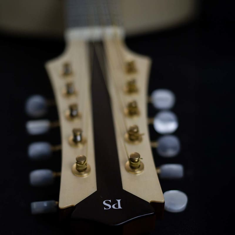 Pedro Santos 10-String Mandolin | Brazil (Master) | Reverb Canada