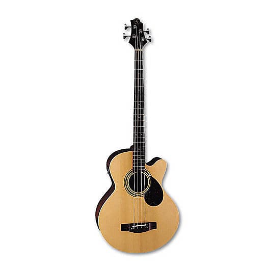 Samick Greg Bennett Signature Series Acoustic Bass | Reverb Australia