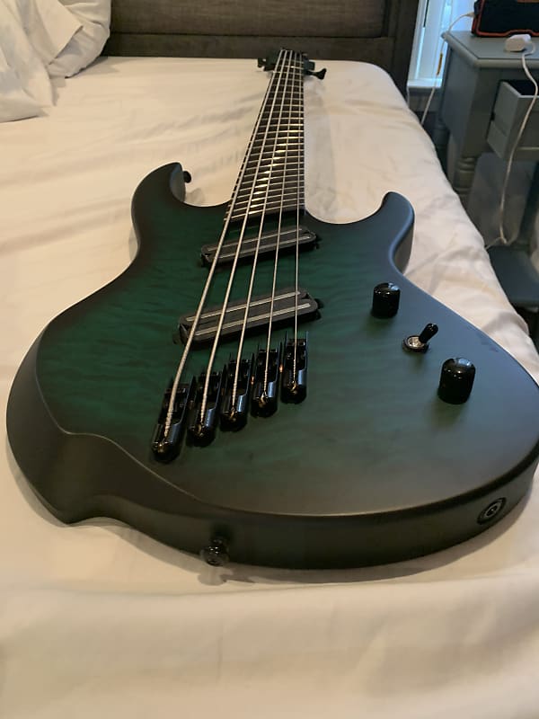 Brice multiscale 5 String bass - 53437 2020 Green | Reverb