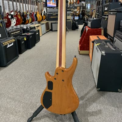 Roscoe 6-String Fretless "Jon Jon" Signature Rasta Bass | Reverb