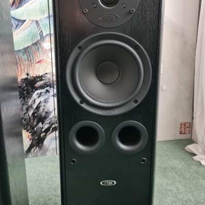 Eltax Symphony 6.2 - Floor Speaker Pair, Black | Reverb UK
