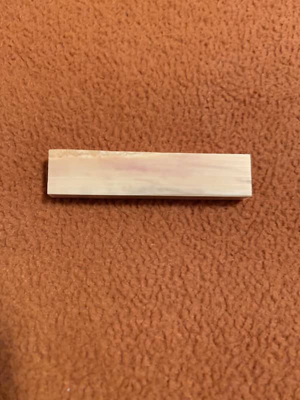 Fossil Walrus Ivory Nut | Reverb