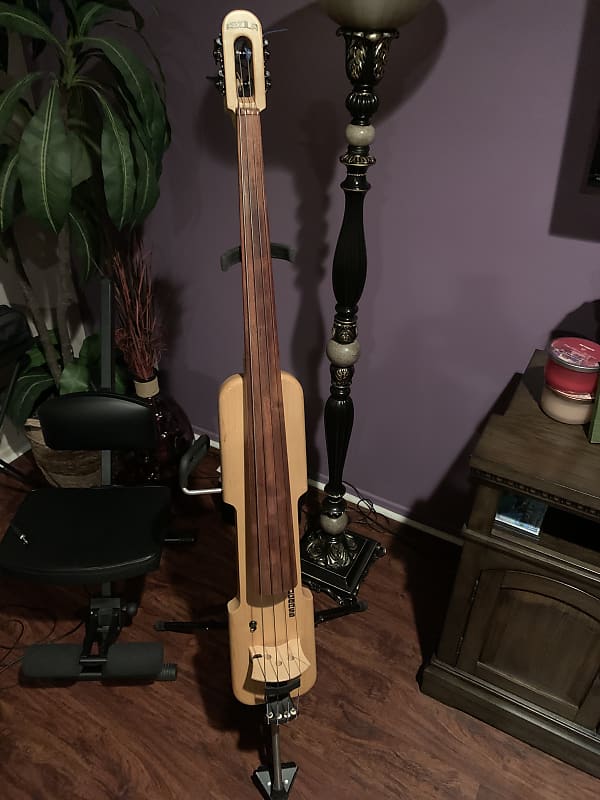 Azola Electric Upright Bass at Chloe Chauvel blog