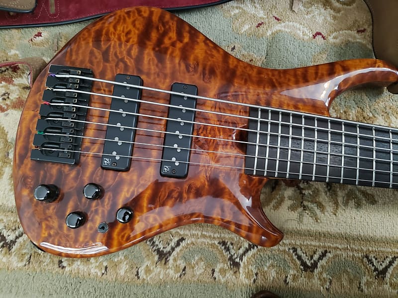 Roscoe SKB 3006 Custom 2000s 6-String Bass Guitar - Very Good | Reverb