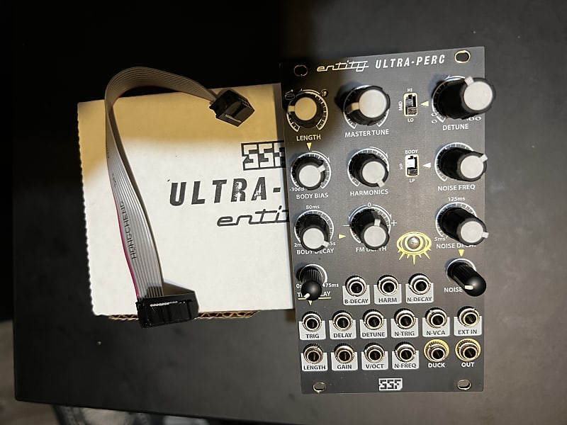 Steady State Fate (SSF) Entity Ultra-Perc 2023 - Black | Reverb