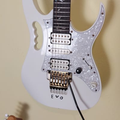 Ibanez Jem "EVO" Sticker | Reverb