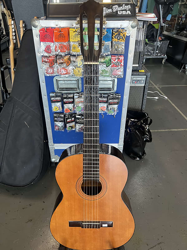 Ariana 9101 70/90s - Natural | Reverb