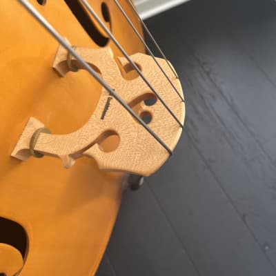 Engelhardt Bass S1 2000 Blonde | Reverb