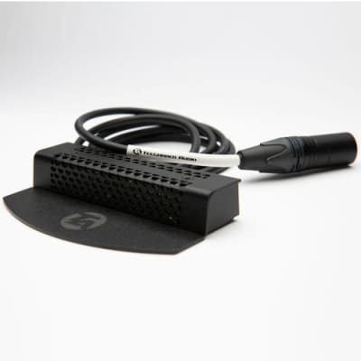 Teegarden Audio PAC-116 Boundary Microphone (Open Box) | Reverb