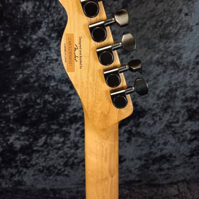 Squier Contemporary Telecaster RH Exotic - Spalted Maple | Reverb