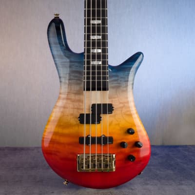 Spector USA Custom NS2 Fretless Bass Guitar - Desert Island - | Reverb