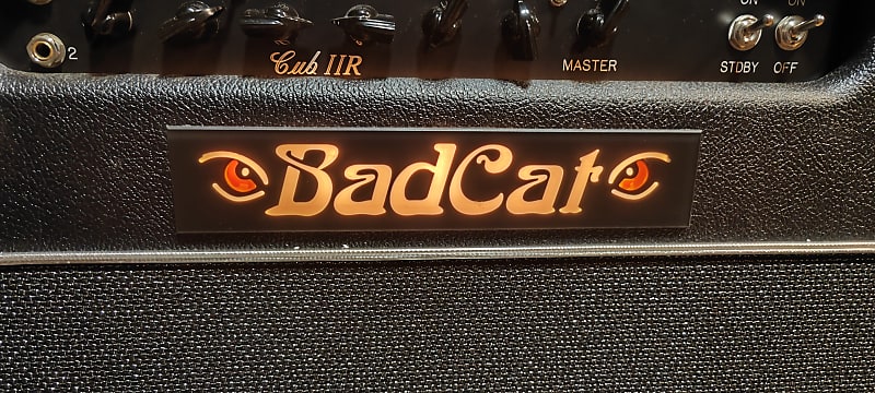 Bad Cat Cub II R 2022 - Black | Reverb