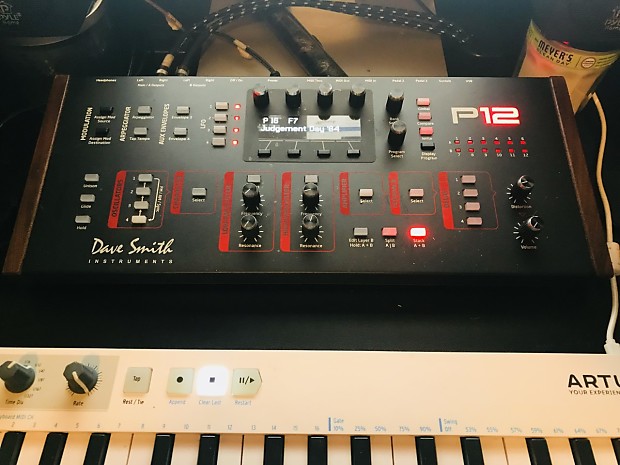 Dave Smith Instruments P12 Prophet 12 Polyphonic Analog | Reverb