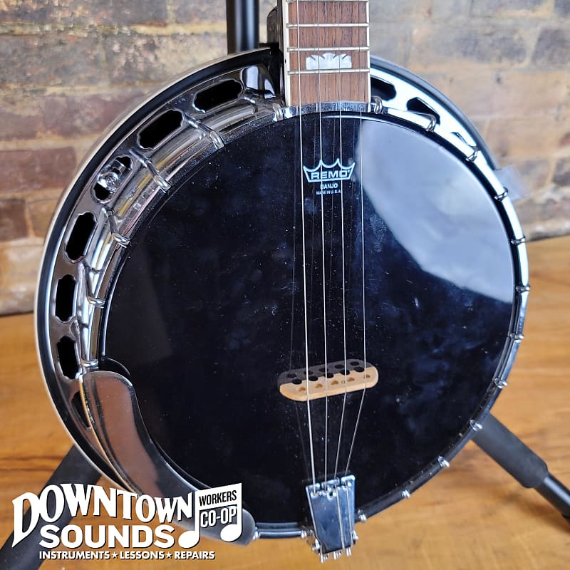 Fender Robert Schmidt Plectrum Banjo with Fishman Rare Earth | Reverb