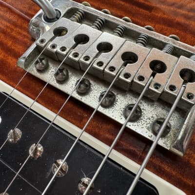 PRS Custom 24 Bird Inlays 10 Top 2014 - Tortoise Shell | Reverb