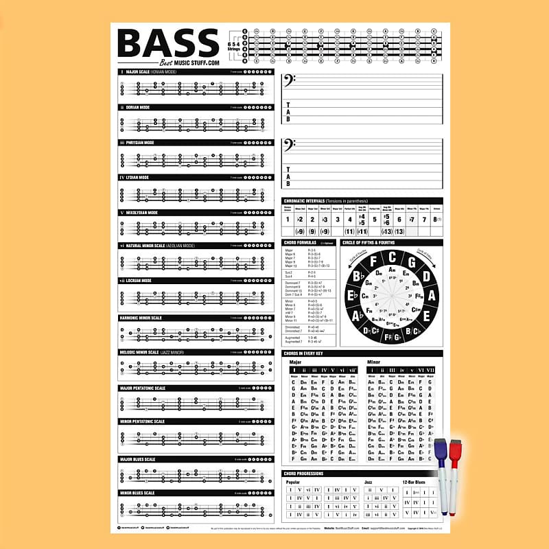The Creative Bass Poster (Dry-Erase) | Reverb
