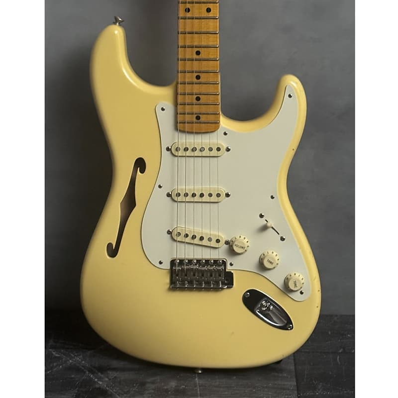 Fender Eric Johnson Thinline Electric Guitar Preowned | Reverb