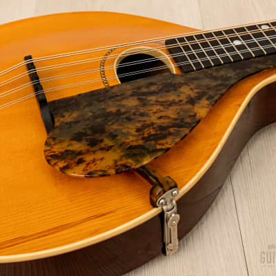 1918 Gibson Style A Mandolin Pumpkin Top Collector-Grade w/ | Reverb