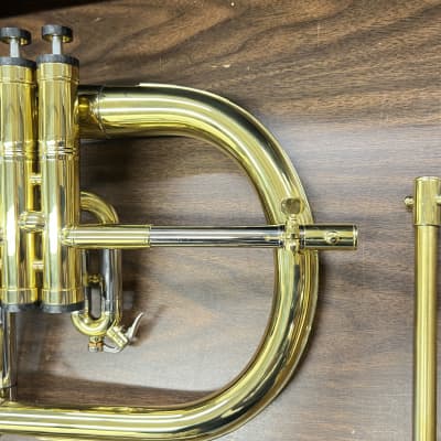 daCarbo Flugelhorn, carbon fiber bell, gold trigger/trims, | Reverb